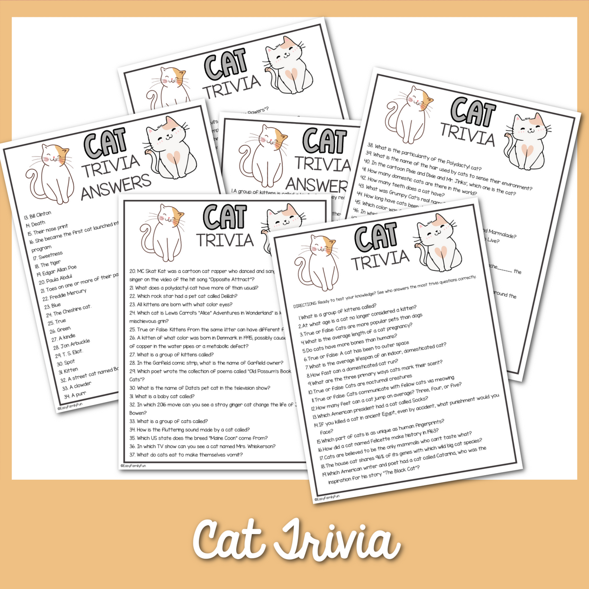 Cat Trivia Questions and Answers – MicheleTripple
