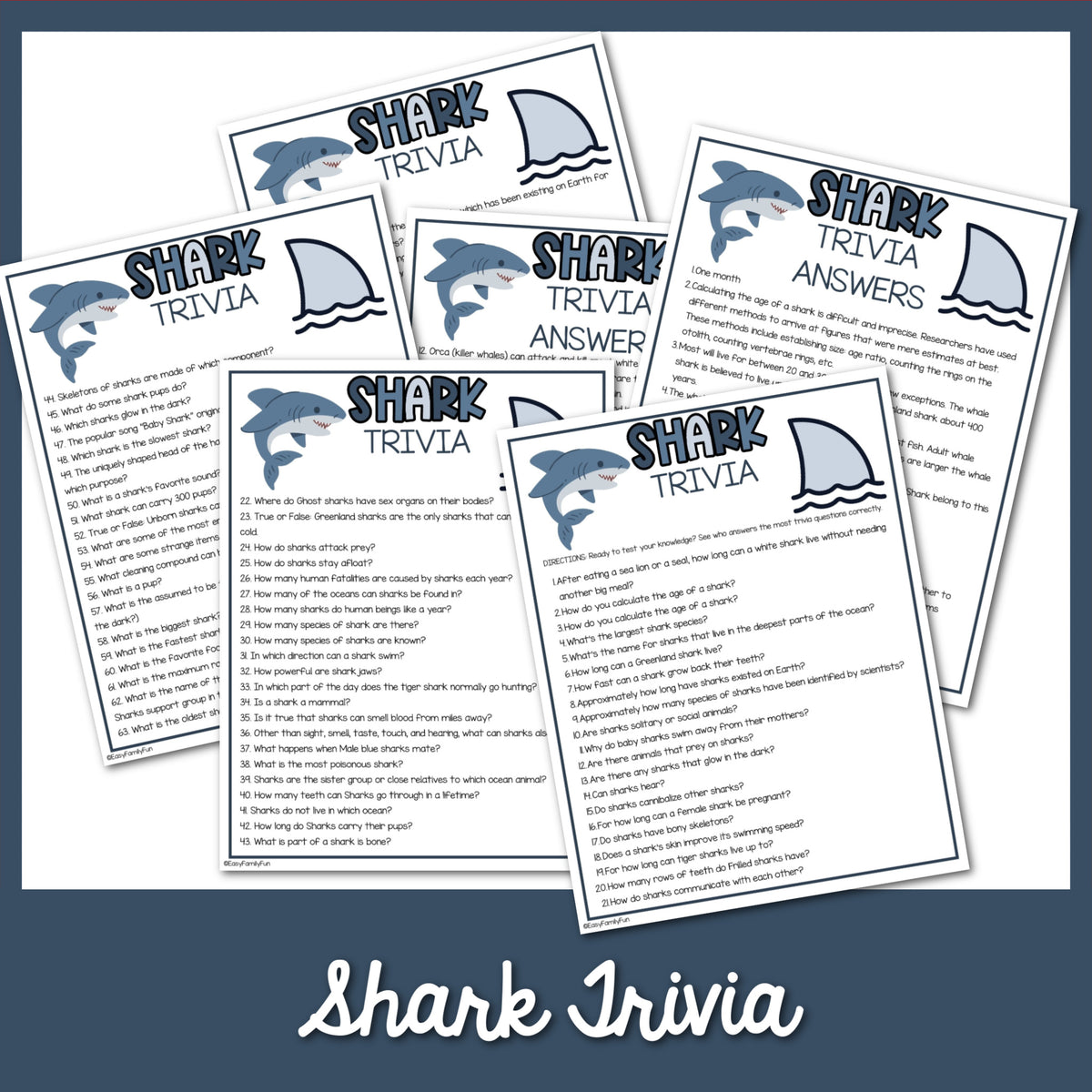 Shark Trivia Questions – MicheleTripple