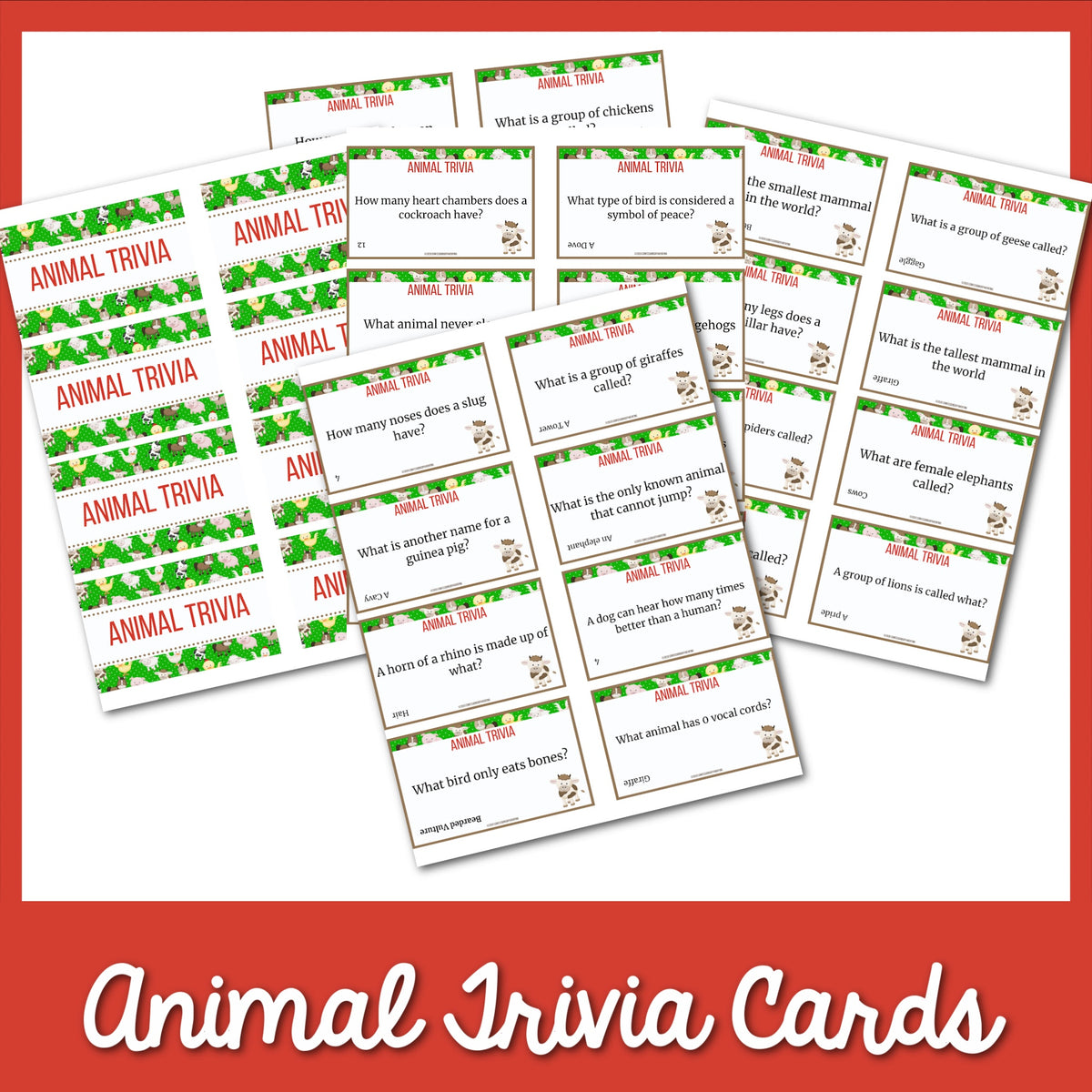 Animal Trivia for Kids Cards – MicheleTripple